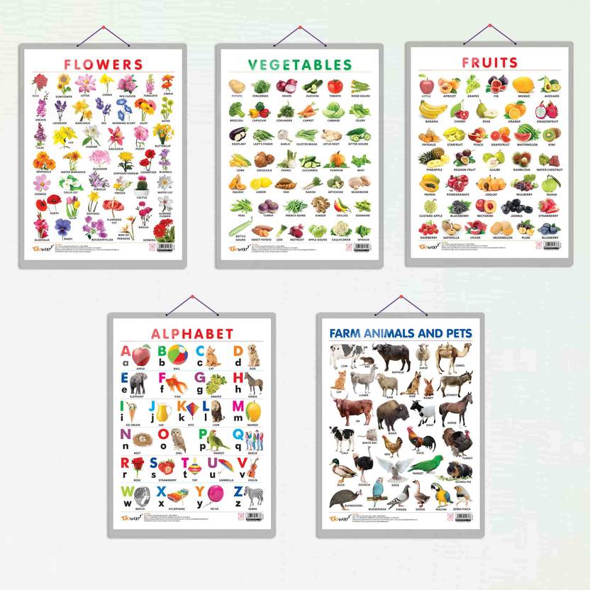 ALPHABET CHART HARD LAMINATED, FRUITS CHART HARD LAMINATED, FLOWERS ...