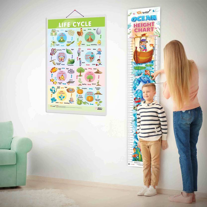 Life Cycle Chart and OCEAN HEIGHT CHART | Set of 2 charts 1 Educational ...