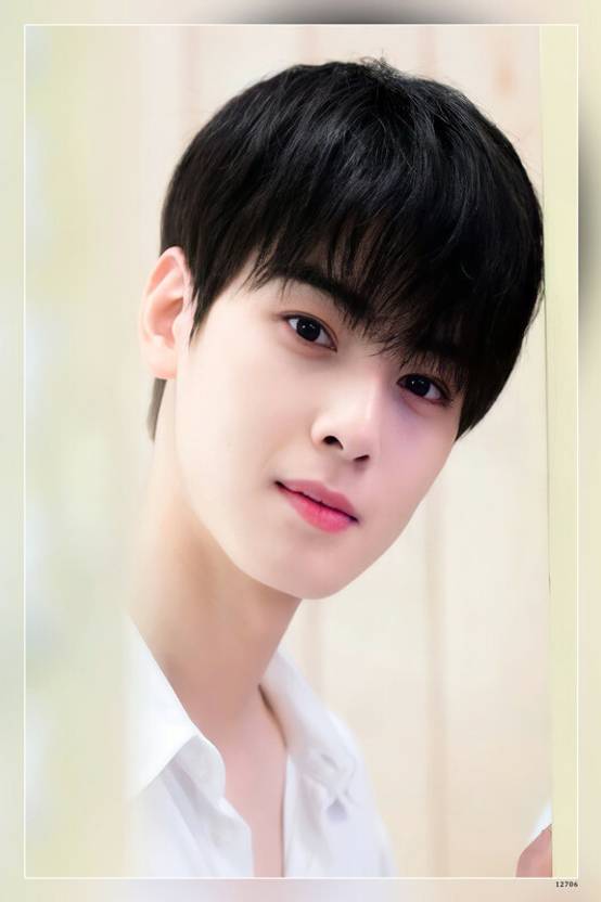 Cha Eun Woo Korean K Pop Singer Actor Matte Finish Poster Paper Print ...
