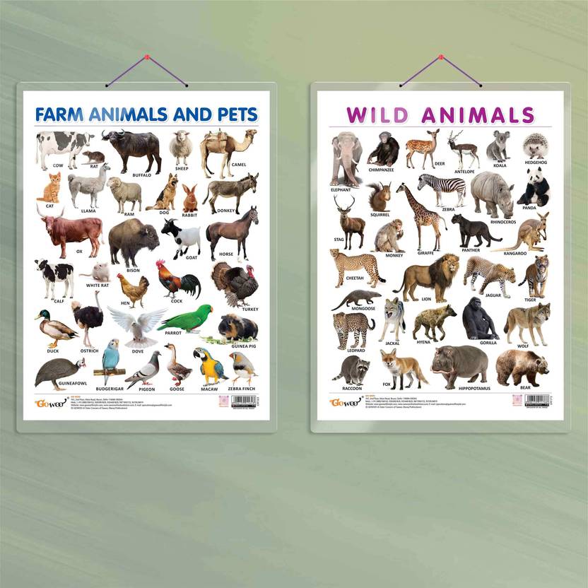 FARM ANIMALS AND PETS CHART HARD LAMINATED and WILD ANIMALS CHART HARD ...