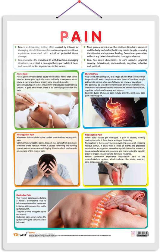 PAIN chart | Understanding Pain: Comprehensive Pain Chart for Medical ...