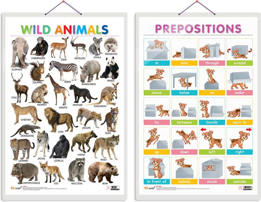 Set of 2 Wild Animals and PREPOSITIONS Early Learning Educational ...