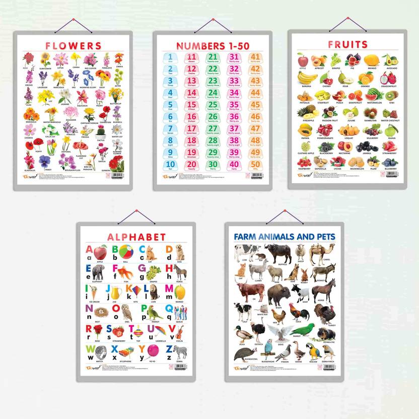 ALPHABET CHART HARD LAMINATED, FRUITS CHART HARD LAMINATED, FLOWERS ...