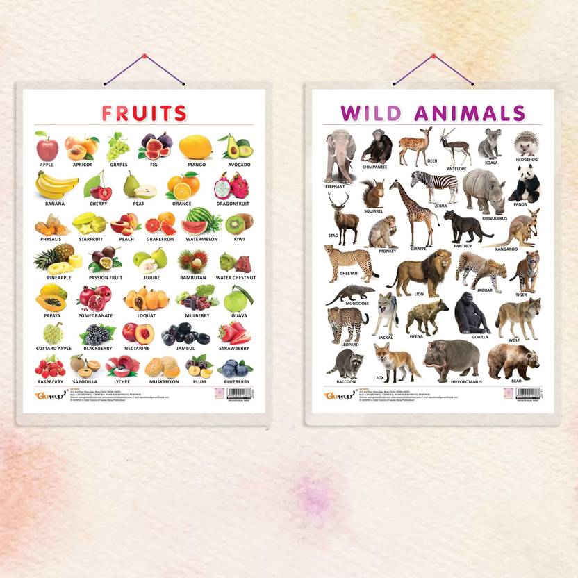 FRUITS CHART HARD LAMINATED and WILD ANIMALS CHART HARD LAMINATED ...