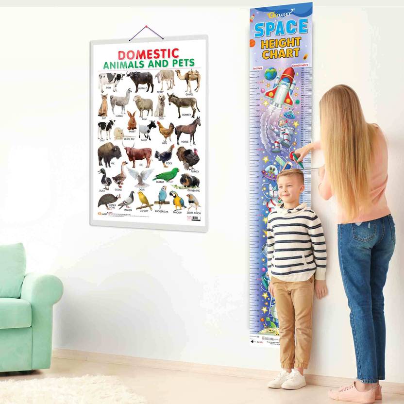 Domestic Animals and Pets chart and SPACE HEIGHT CHART | Set of 2 chart ...