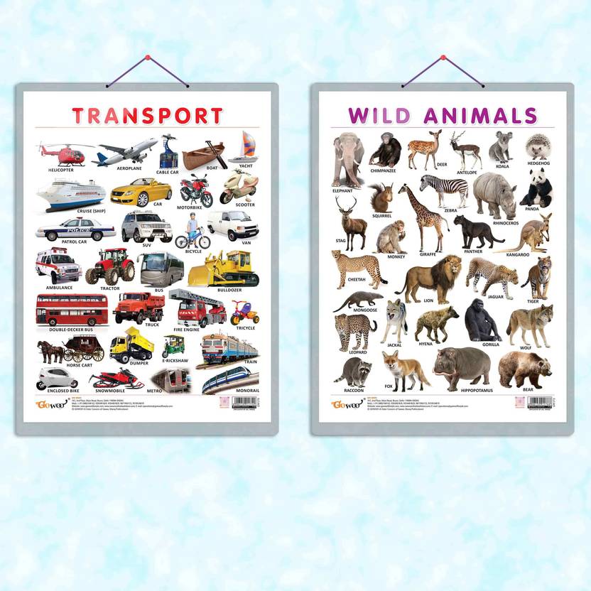 TRANSPORT CHART HARD LAMINATED and WILD ANIMALS CHART HARD LAMINATED ...