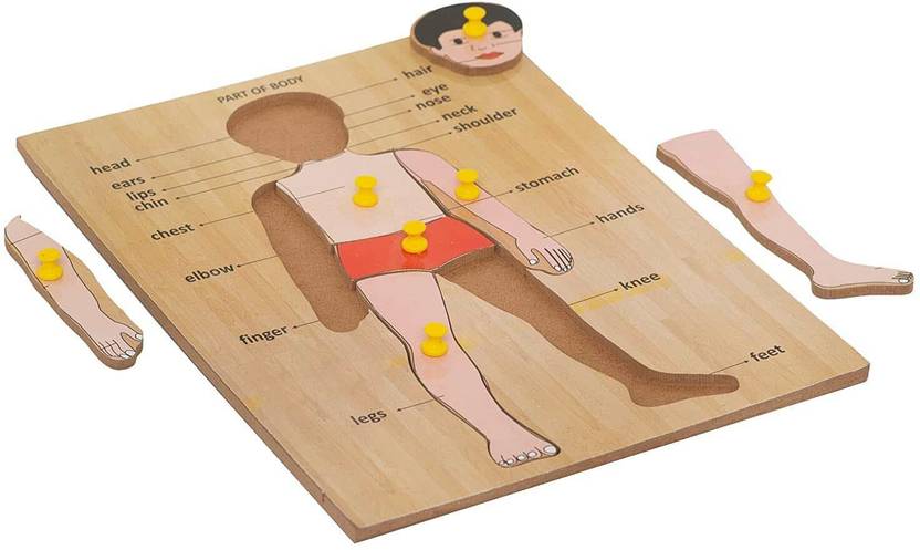 AMUSING Human Body Parts Wooden Puzzle Board with Knobs - Human Body ...