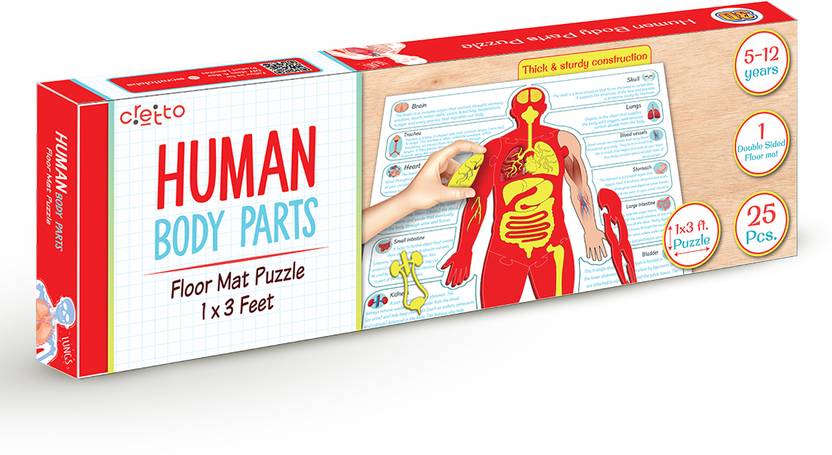 cretto 3D Human Body Parts Puzzle - 3D Human Body Parts Puzzle . shop ...