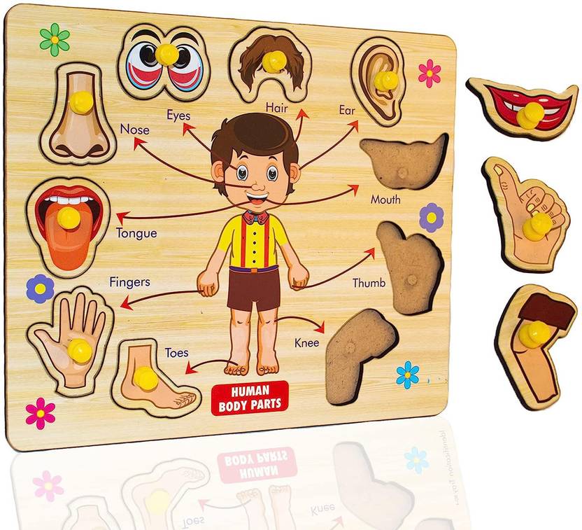SHALAFI Wooden Human Body Parts Puzzle Board with Knobs, Educational ...