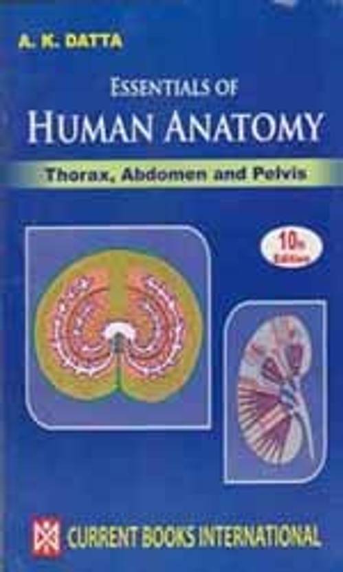 Essentials Of Human Anatomy [10 Th Edition] Thorax Abdomen And Pelvis ...