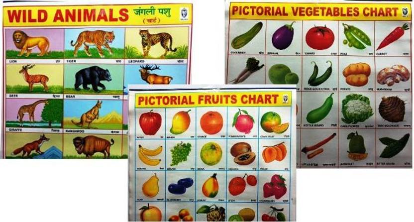 A Combo Of THREE Beautiful Pictorial WALL CHART Of Vegetables,fruits ...