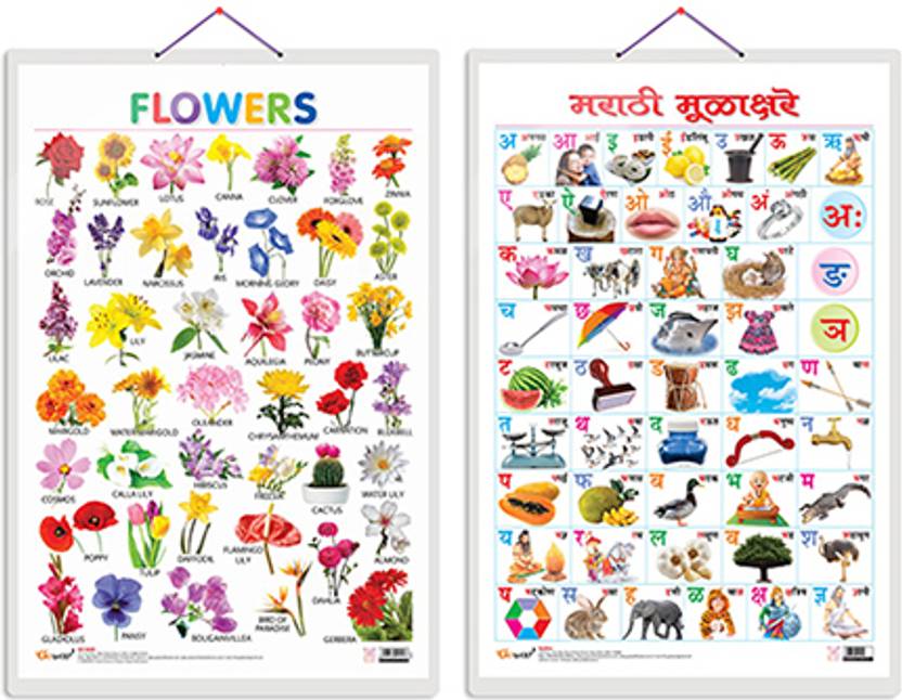 Gift Pack Of 2 Flowers And Marathi Varnamala?(Marathi) Charts | Wall ...