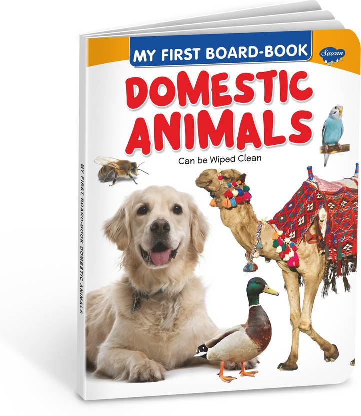 My First Board Books Domestic Animals | Big Size Board Book For Kids By ...