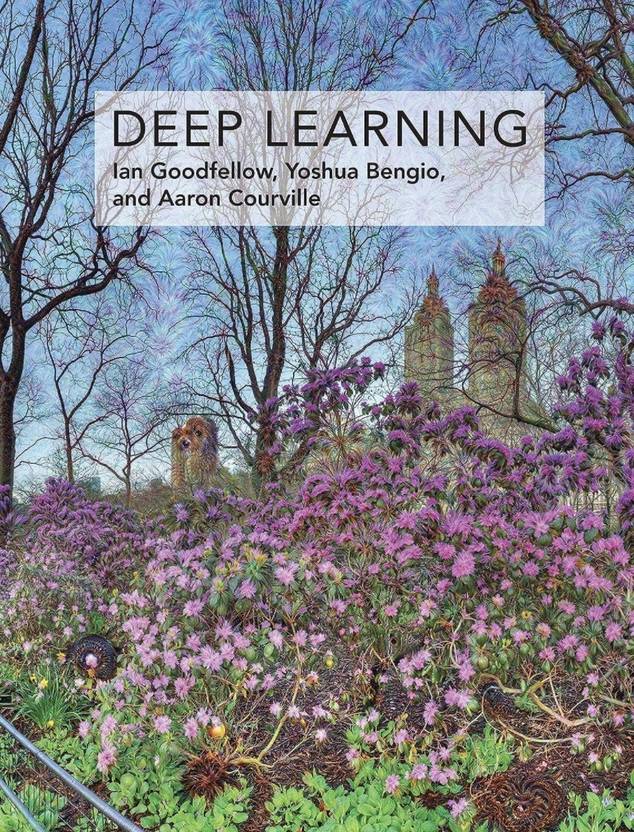 Deep Learning: Buy Deep Learning by IAN GOODFELLOW at Low Price in ...