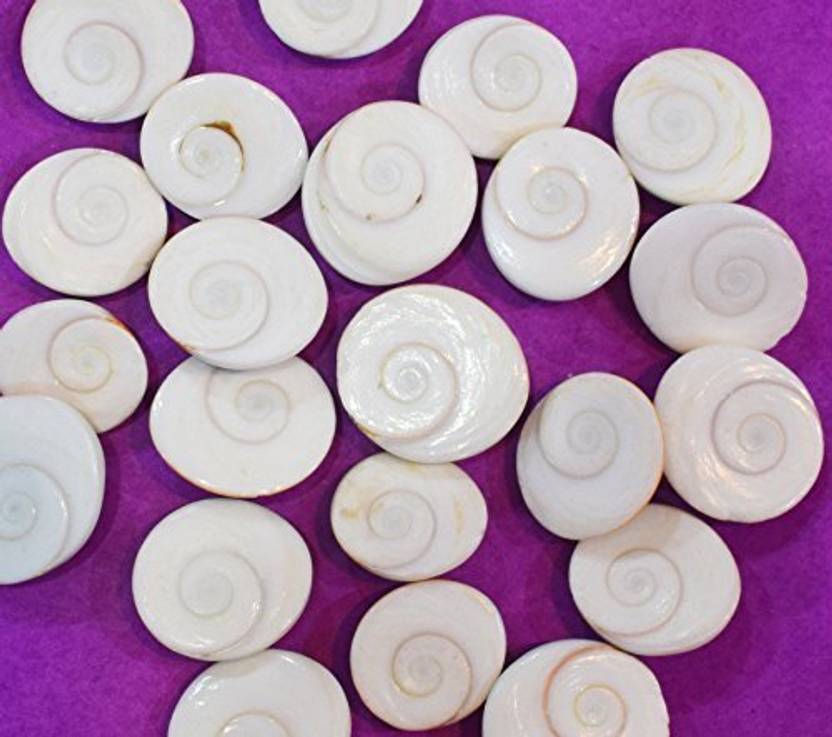 Shivmahimaa 100% Natural Rare Gomti Gomati Chakra for Prosperity & Good ...