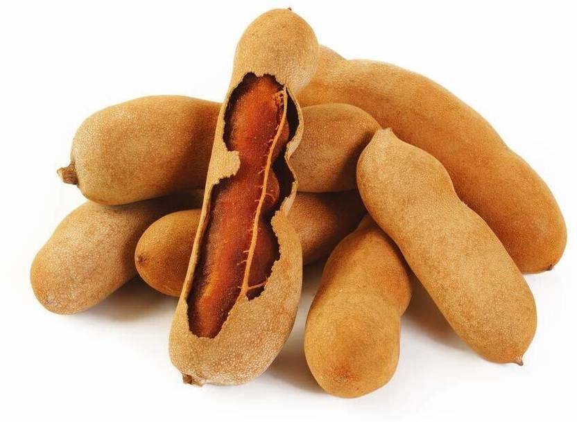 Cloud Farm Tamarind Plant Price in India - Buy Cloud Farm Tamarind ...
