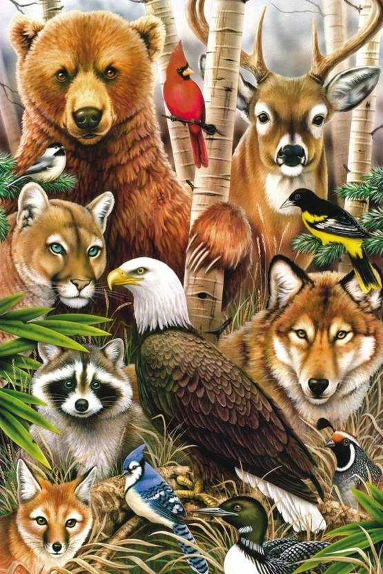 Wild Animals Poster - Forest Animals Poster - Jungle Animals Poster ...