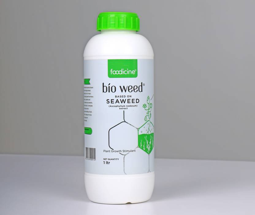 Foodicine Seaweed Extract Fertilizer(Organic Ascophyllum Nodosum/Marine ...