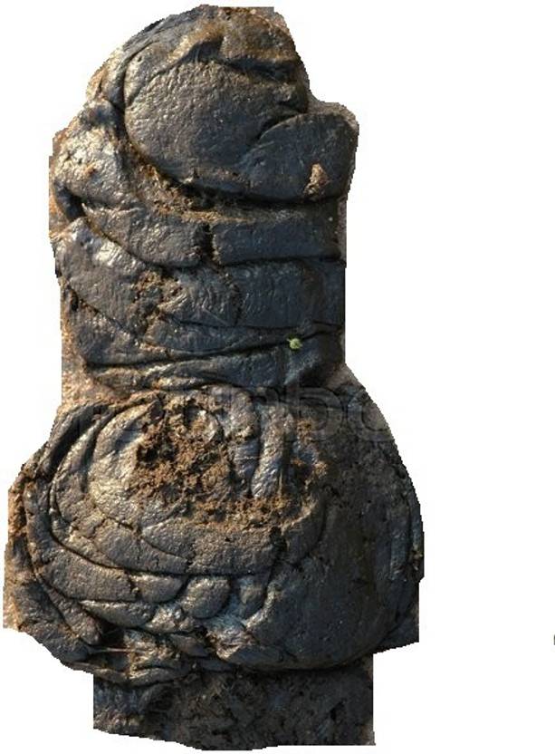 deepak badkur Wet Cow Dung(1kg) For God Pooja,Ganesh,Havan,Plant ...