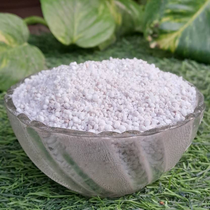 Plantsab Premium Quality Perlite for Potting Mix 500gm Potting Mixture ...