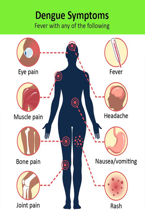 Emo 45.72 cm Dengue fever sign symptoms chart wall poster sticker for ...