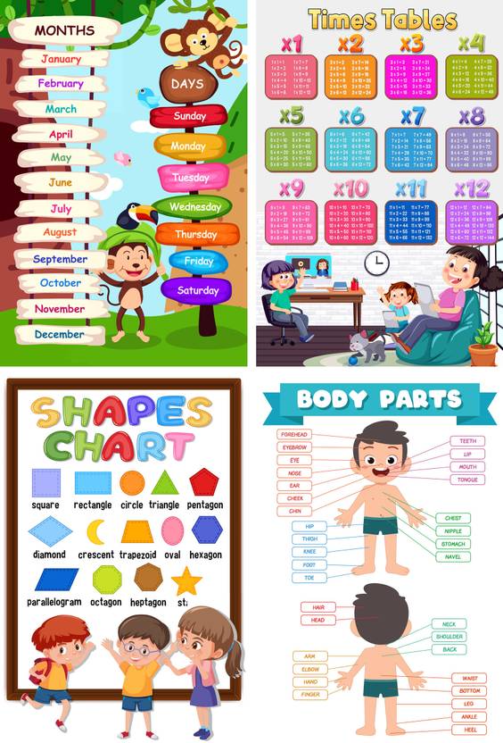 ShubhFly 47 cm Multiplication Tables Month Day Body Parts Shapes Chart ...