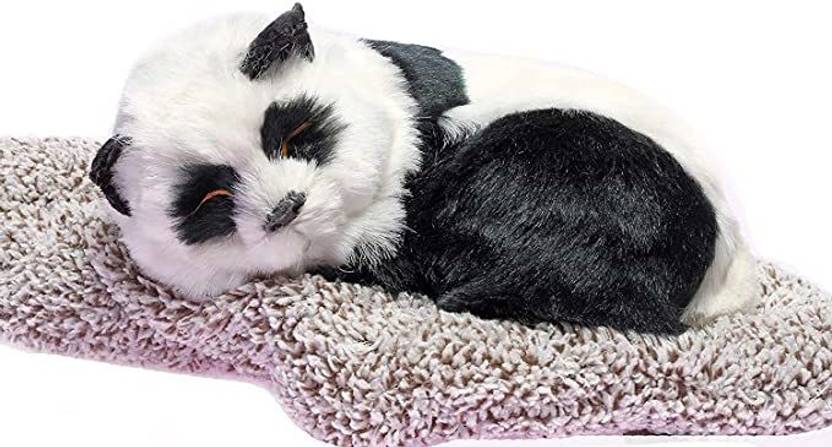 hukum karo Premium Sleeping Panda Soft toy for Car dashboard and home ... hukum karo Premium Sleeping Panda Soft toy for Car dashboard and home ...