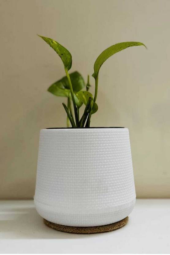 PRBUILDMART LED POT 003 Night Lamp Price in India - Buy PRBUILDMART LED ...