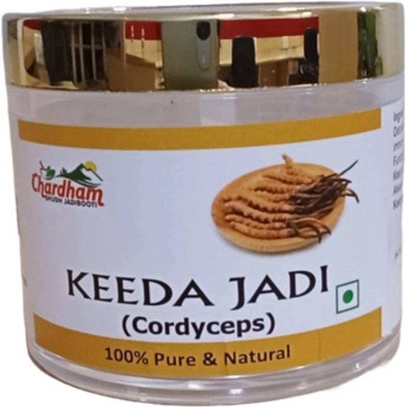 Chardham Shudh Jadibooti Natural Himalayan Cordyceps, Keedajadi (10 pcs ...