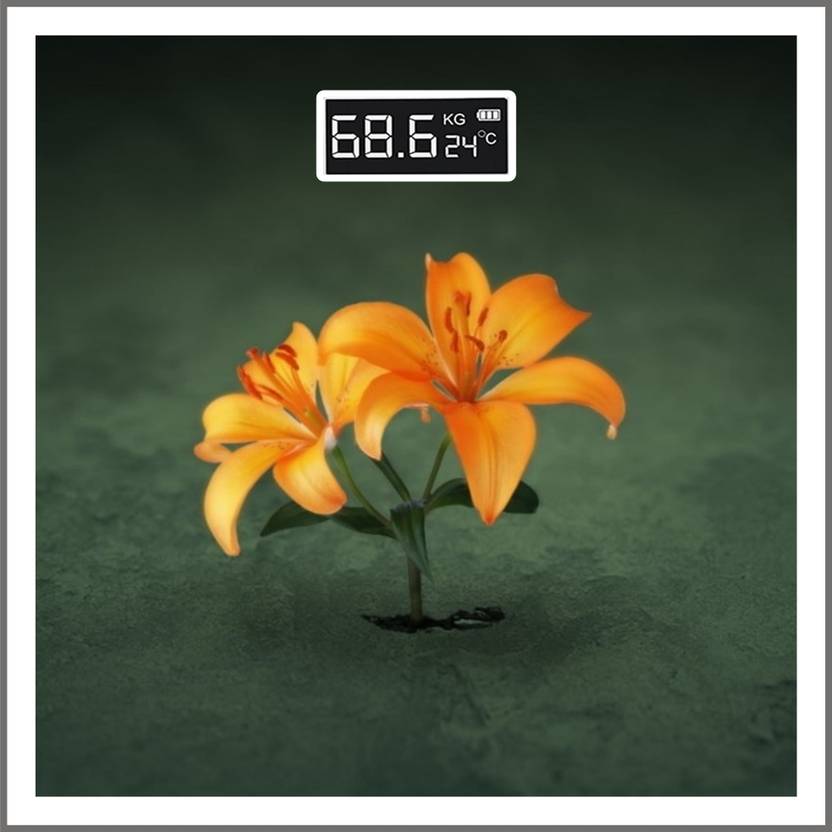 Chibro Bathroom Weight Scale, Electronic Weight Machine for Human Body ...