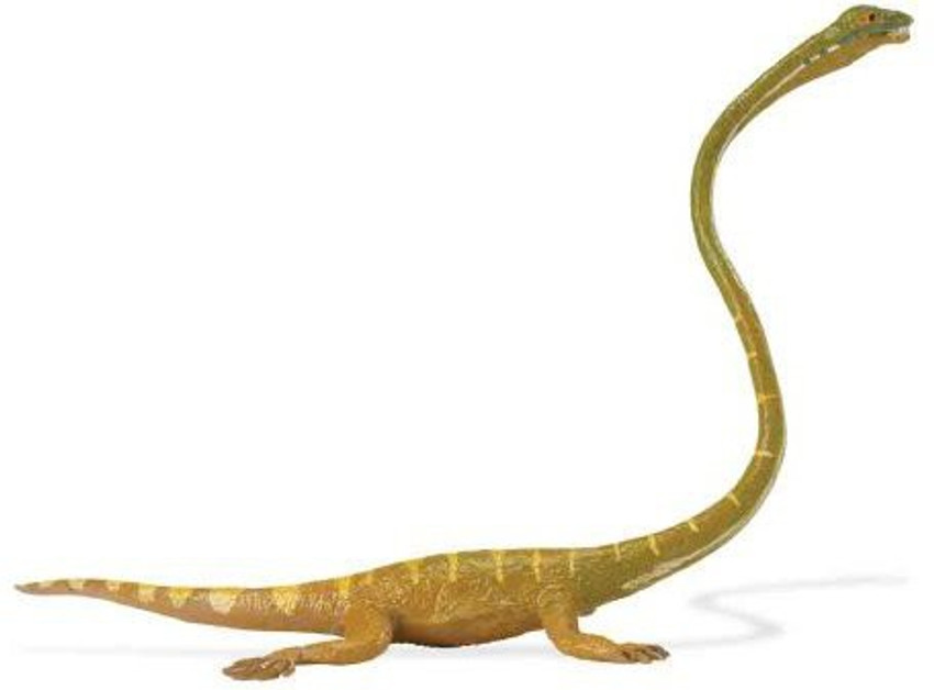 Tanystropheus