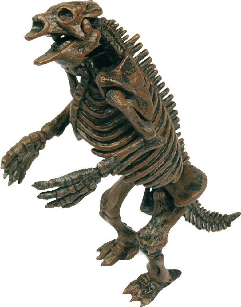 Megatherium Skeleton