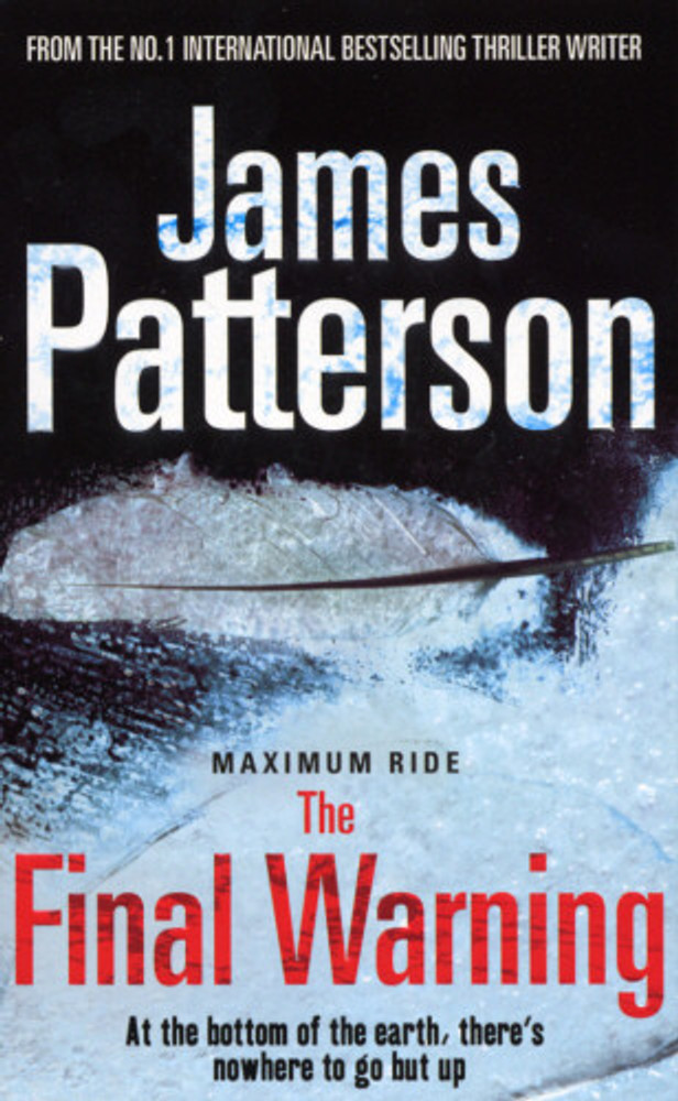 Maximum Ride Book 8