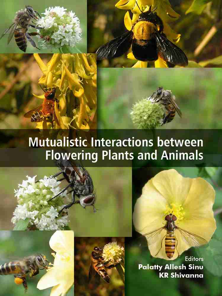 How Plants And Animals Interact