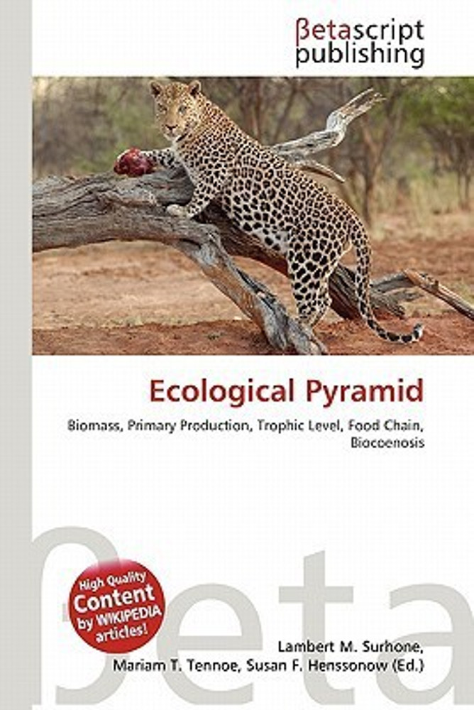 Cheetah Food Pyramid