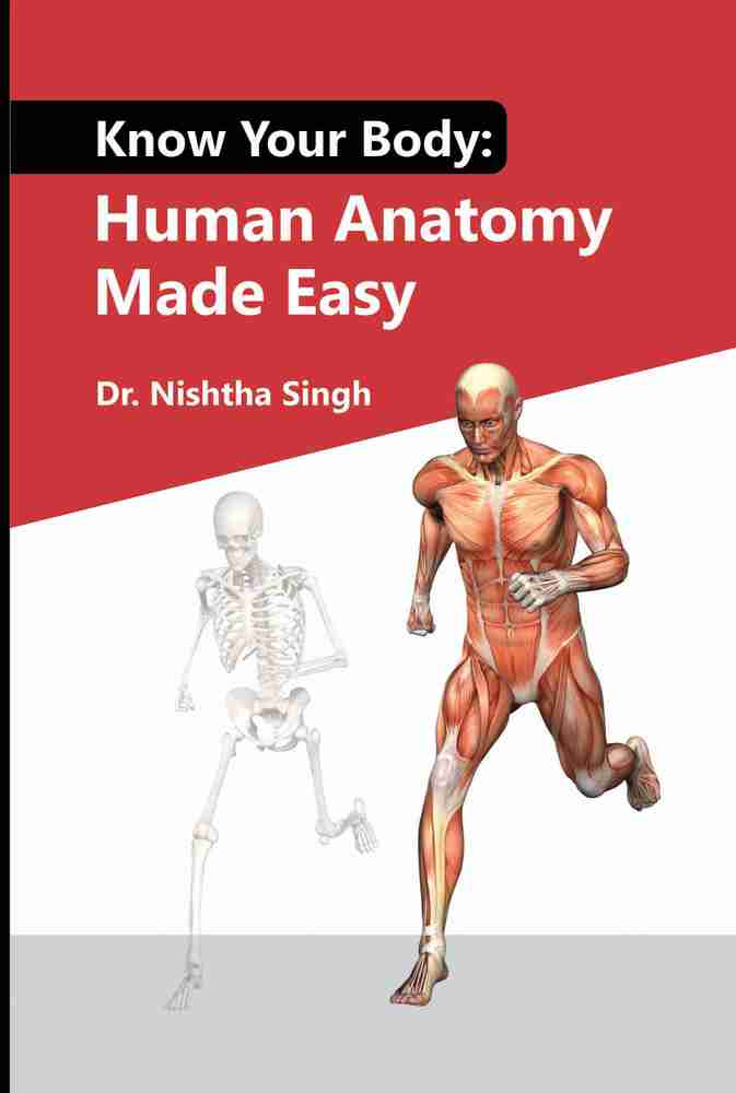 Anatomy Made Easy Lucy's Portafolio Roller Coaster Project | The