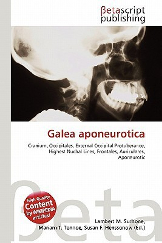 Galea Aponeurotica