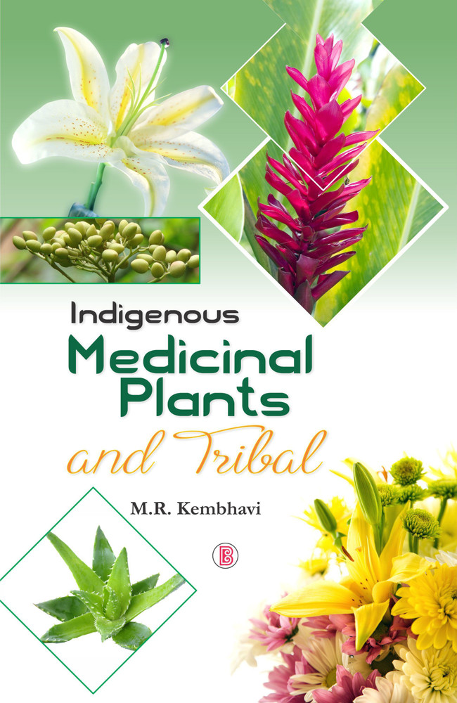 Indigenous Medicinal Plants A Beginner's Guide To Native American