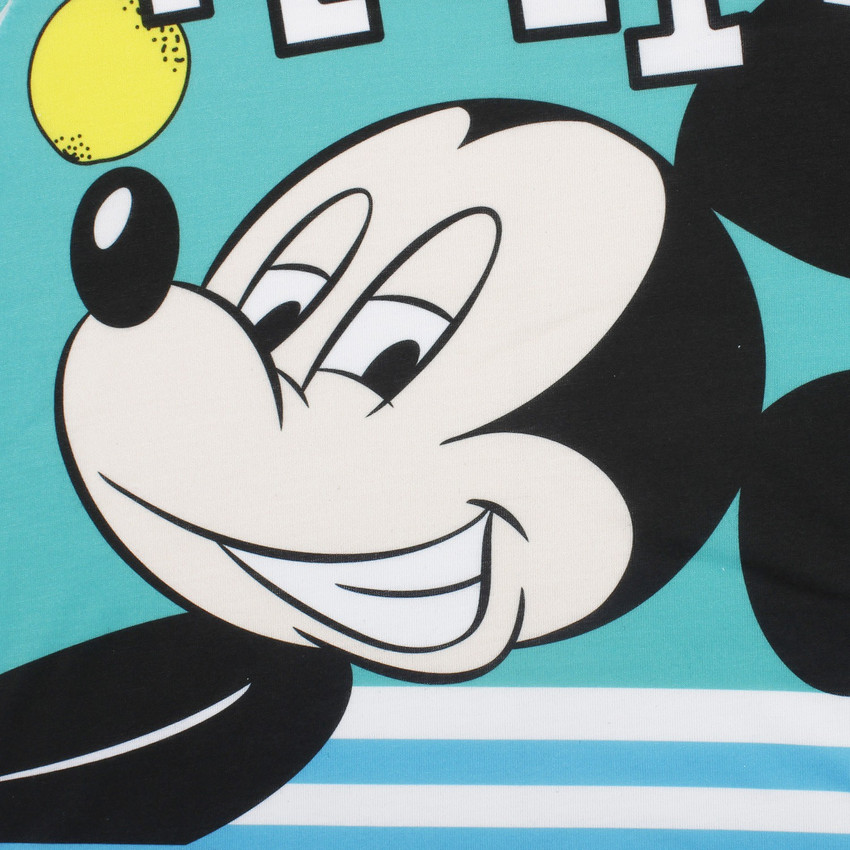 Mickey Mouse Family Guy