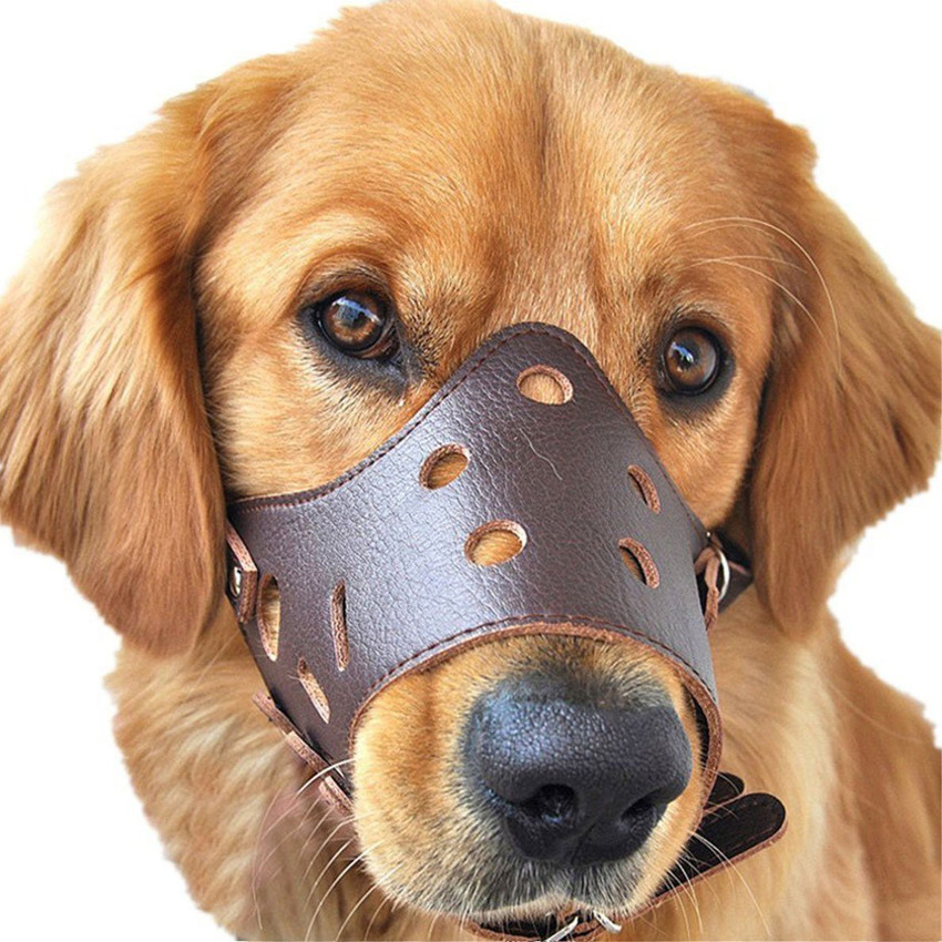 Dog bite mask store