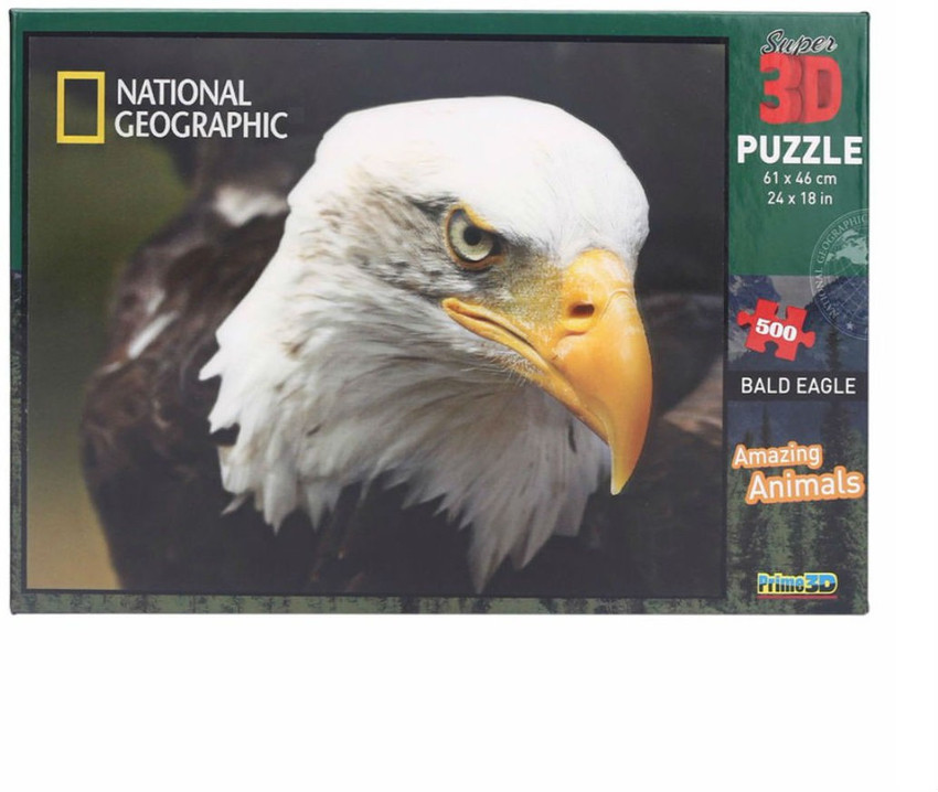 Bald Eagle National Geographic National Geographic Your Shot