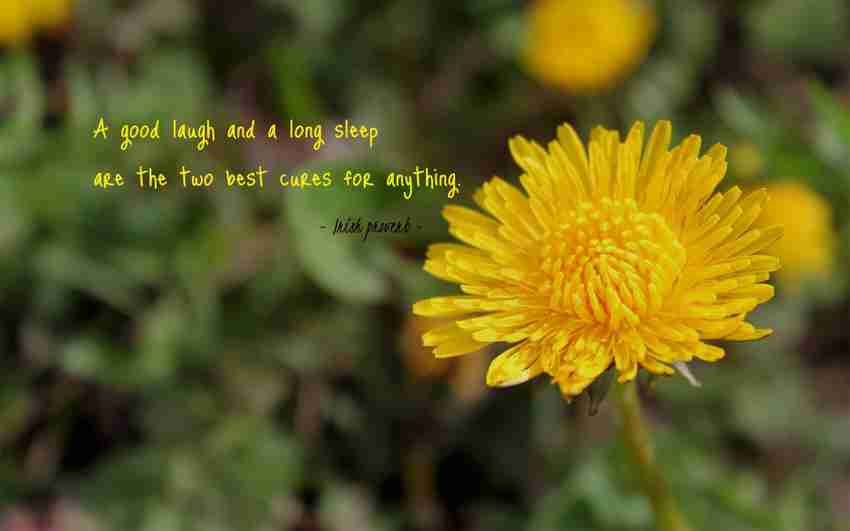 Laugh And Sleep Quotes The 115 Good Night Quotes