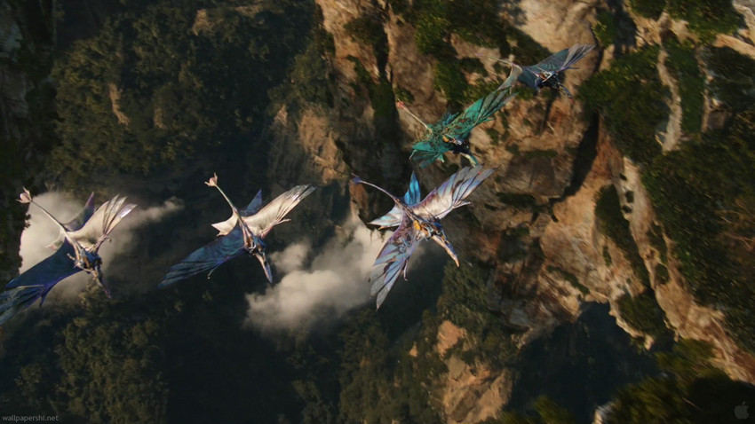 Flight Movie Wallpaper