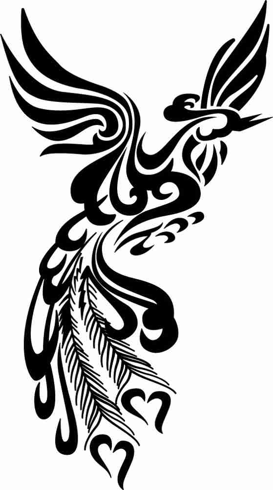 Radium Stickers Design For Bikes