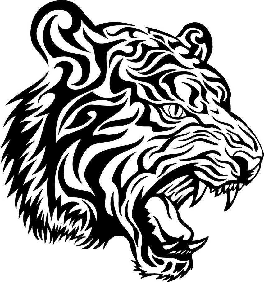 Stickers Design For Bikes