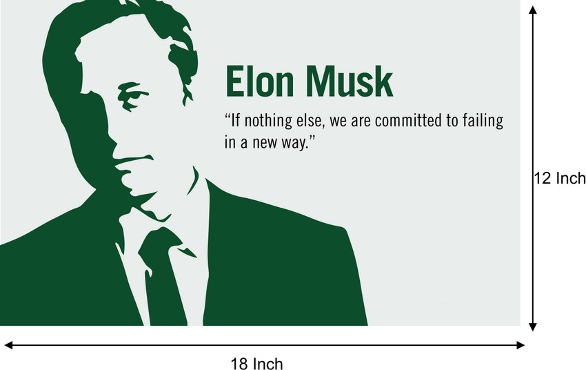 Elon Musk Entrepreneur Quotes