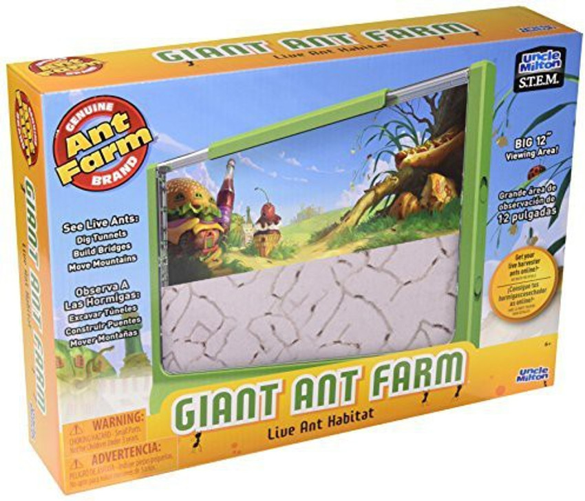 Ant Farm