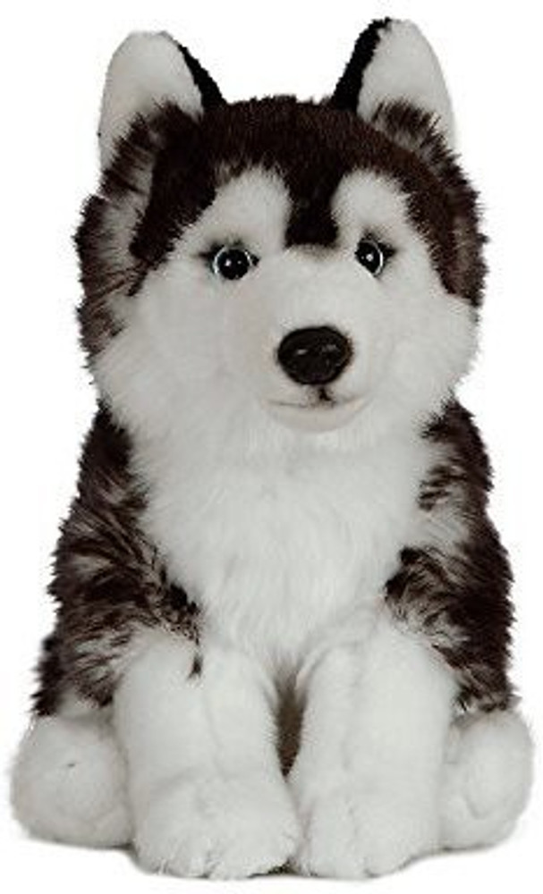 Toy Siberian Husky