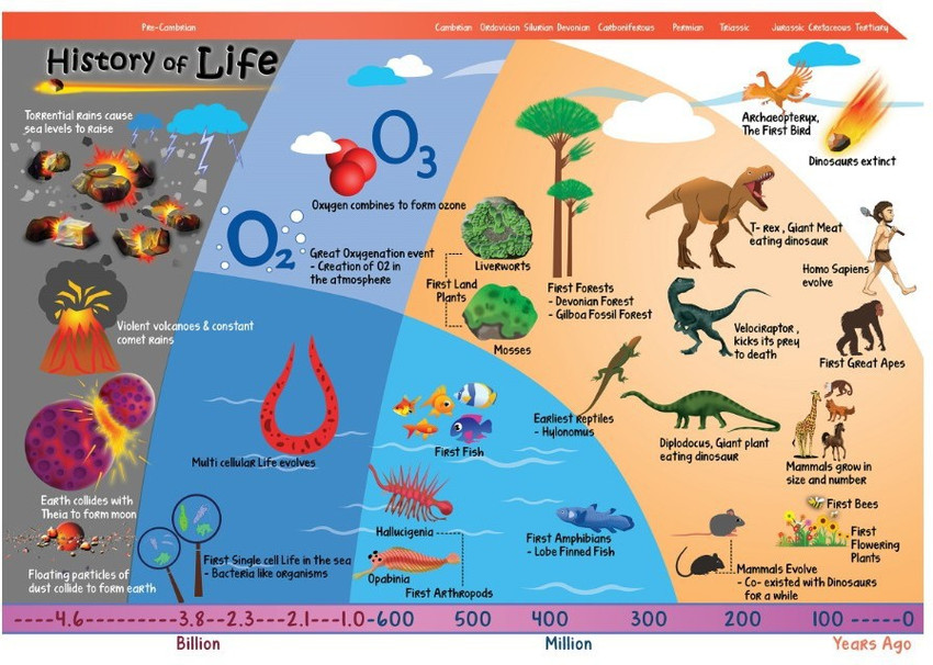 Kids Science Poster