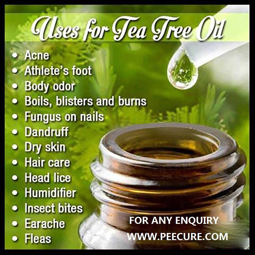 PEECURE 100 Pure Tea Tree Oil 30 ml for Skin Problem Hair Acne Treatment Skin hydration Tan removal Price in India Buy PEECURE 100 Pure Tea Tree Oil 30 ml for Skin Problem Hair Acne Treatment Skin hyd...